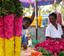 La Marigold, la fleur omniprésente en Inde