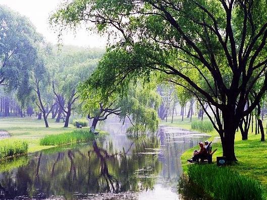 12 parcs à visiter à Shanghai