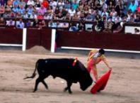 DICO DE POCHE – Le vocabulaire de la corrida, pour les nuls