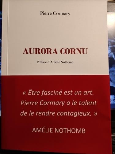 LITTÉRATURE - Un roman évènement sur l'actrice-poétesse franco-roumaine ...
