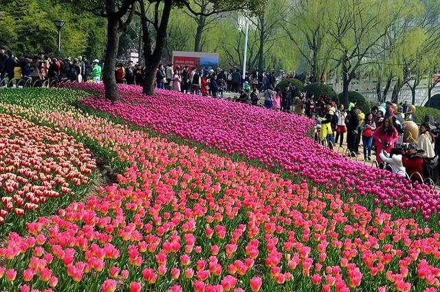12 parcs à visiter à Shanghai