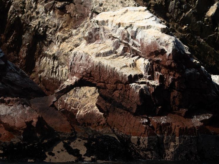 L’histoire de l’exploitation du guano : un véritable « or blanc