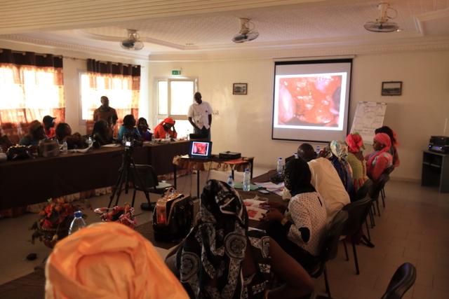 SANTÉ – DP World Dakar s’engage contre le cancer.