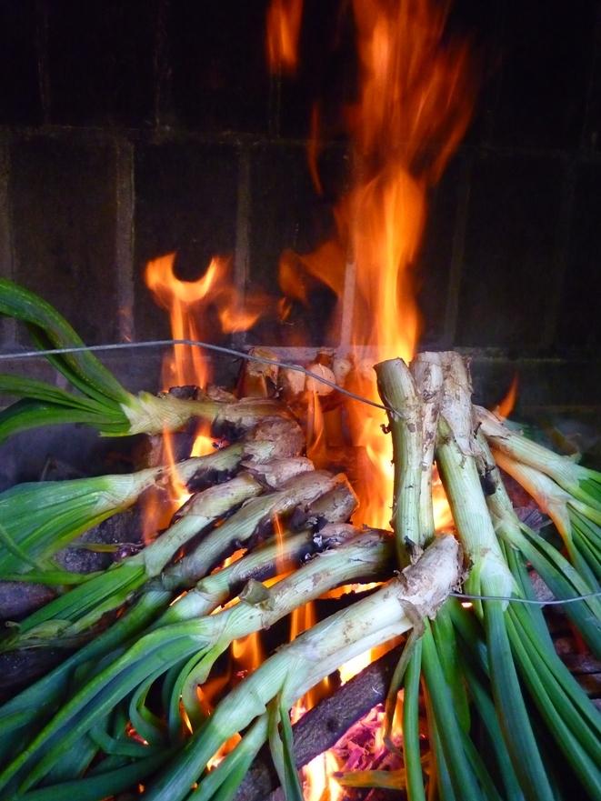 Les calçots : tout savoir sur cette spécialité catalane