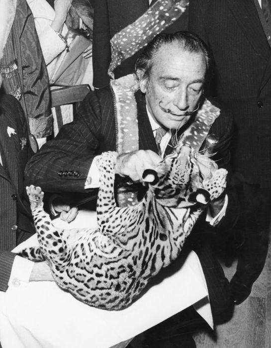 Salvador Dalí, un univers onirique qui réveille le monde animal