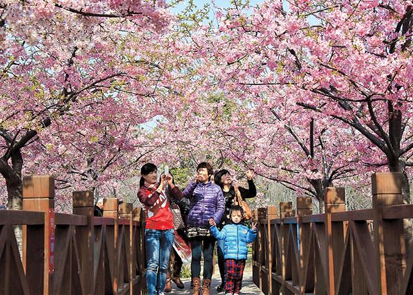 12 parcs à visiter à Shanghai