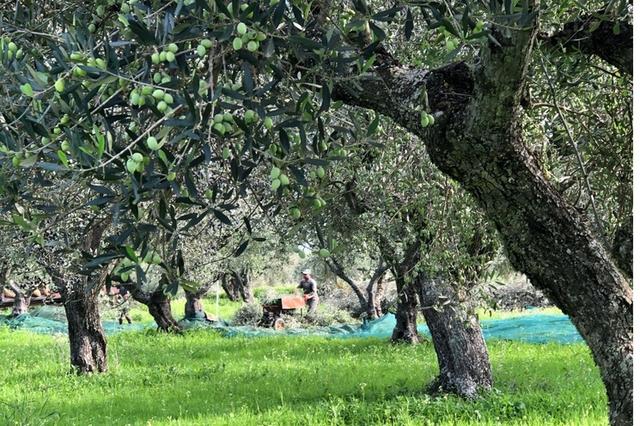 Soula Chronopoulos : faire de l’eau un enjeu de sécurité nationale